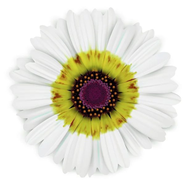 100,000 Rainbow daisy Vector Images | Depositphotos