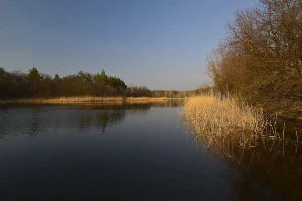 Os fens Stock Photos, Royalty Free Os fens Images | Depositphotos