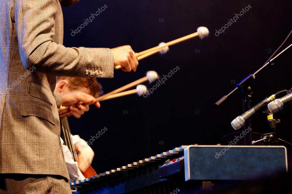 Vibraphone Player