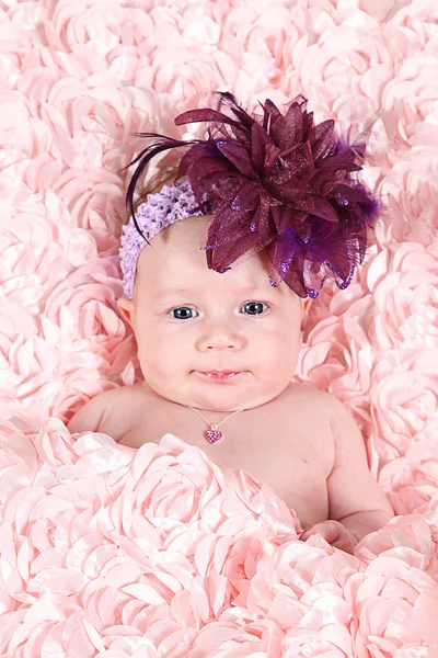 Baby rose Stock Photos, Royalty Free Baby rose Images | Depositphotos