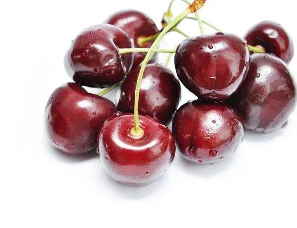 Cherry — Stock Photo © manae #5988553