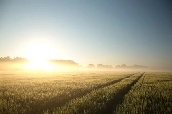 Sunrise over farmland Stock Photos, Royalty Free Sunrise over farmland ...