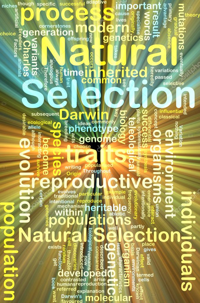 Natural selection wordcloud concept illustration glowing Stock Photo by ...