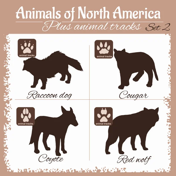 Cictures : animal track | North America animals and animal tracks ...