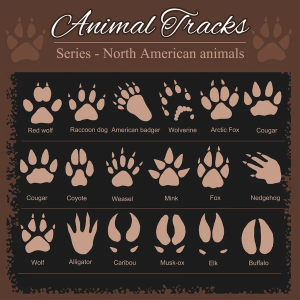 Animals Tracks - vector set — Stock Vector © Digital-Clipart #85310760
