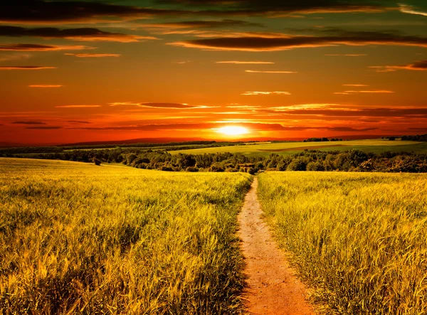 Country sunset Stock Photos, Royalty Free Country sunset Images ...