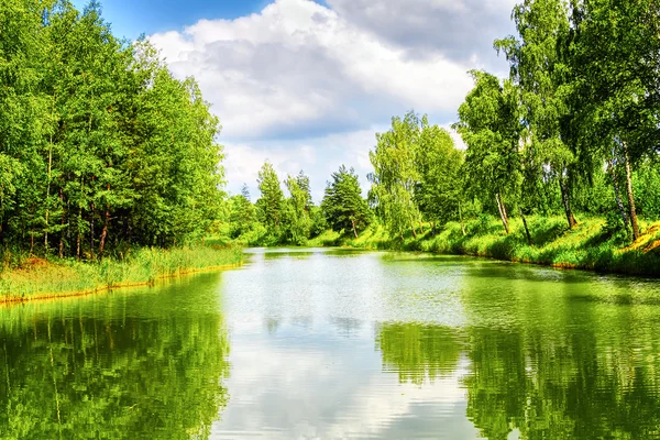 Green nature landscape — Stock Photo © WDGPhoto #4926892