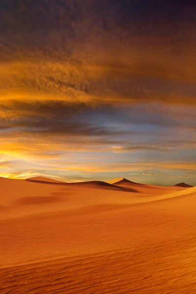 Desert sunset Stock Photos, Royalty Free Desert sunset Images ...