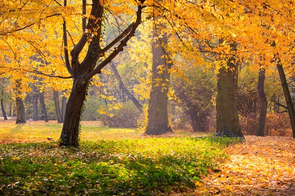 Lazienki park in Warsaw Stock Photo by ©seawhisper 132290664