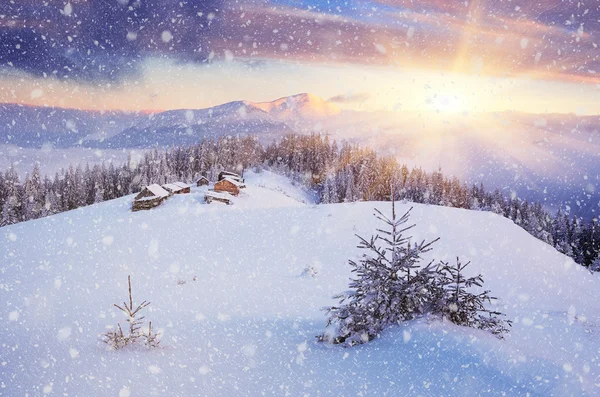 Christmas sunrise Stock Photos, Royalty Free Christmas sunrise Images ...