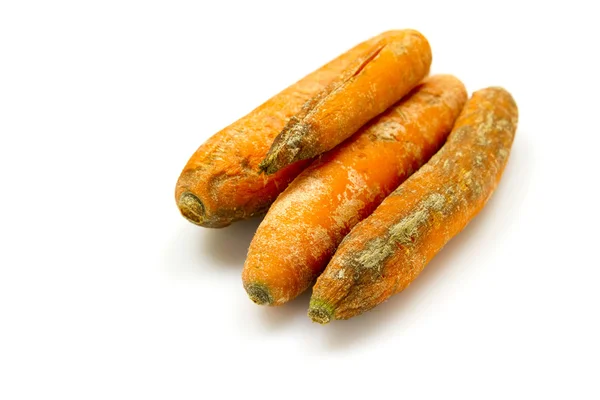 Rotten mouldy carrots — Stock Photo © gcpics #7587348