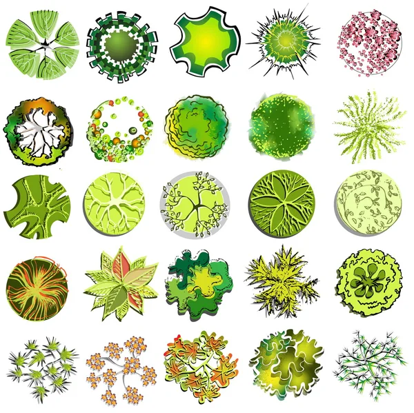 A set of treetop symbols, for architectural or landscape design — Stock ...