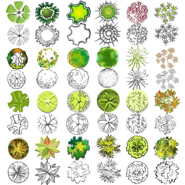 A set of colored treetop symbols, for architectural or landscape design ...