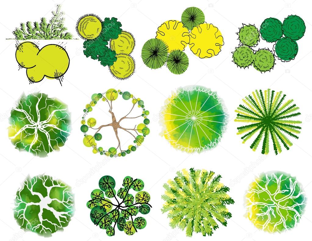 Architectural Symbols Trees