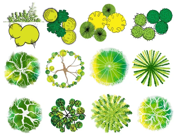 Landscape Shrub Symbol For Architecture