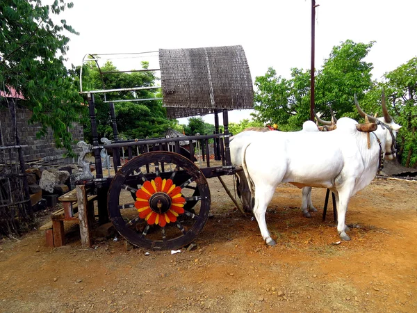 Bull cart in village Stock Photos, Royalty Free Bull cart in village ...