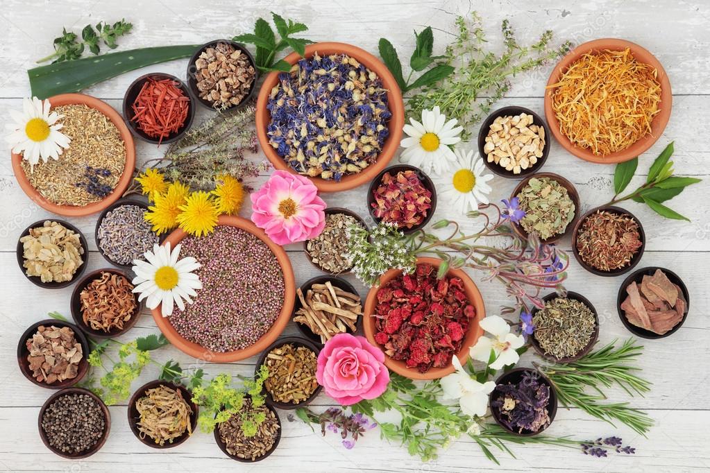 Medicinal Herbs and Flowers Stock Photo by ©marilyna 106596514