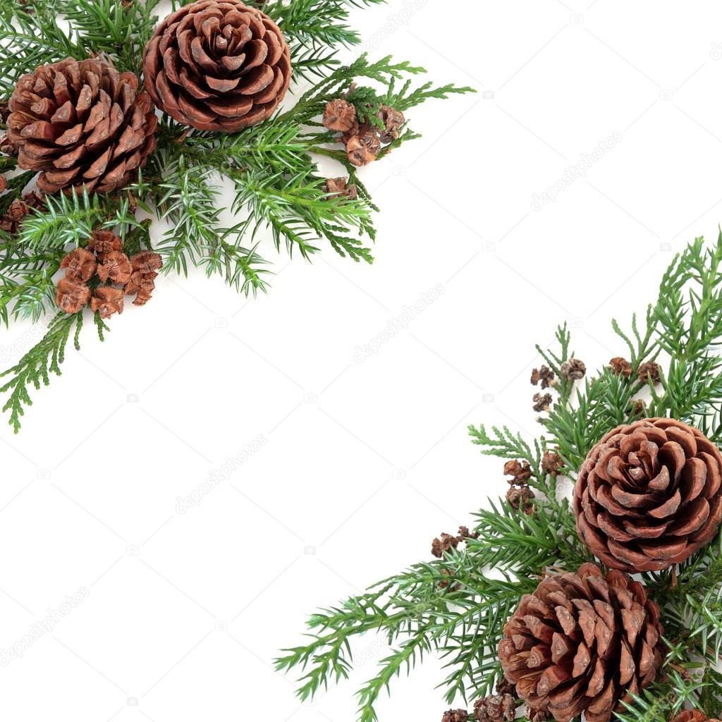 Pine Cone Border Clip Art