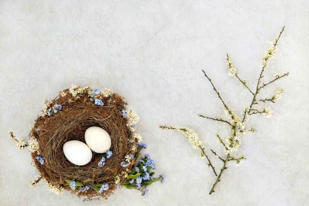 Símbolos de primavera con nido de aves naturales, huevos blancos, flor ...