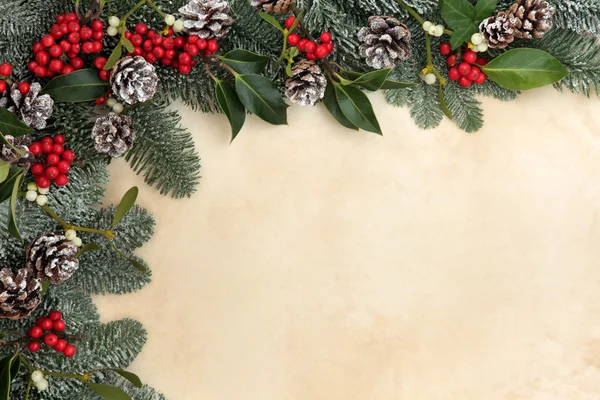 Winter Greenery Border Stock Photo by ©marilyna 127658402