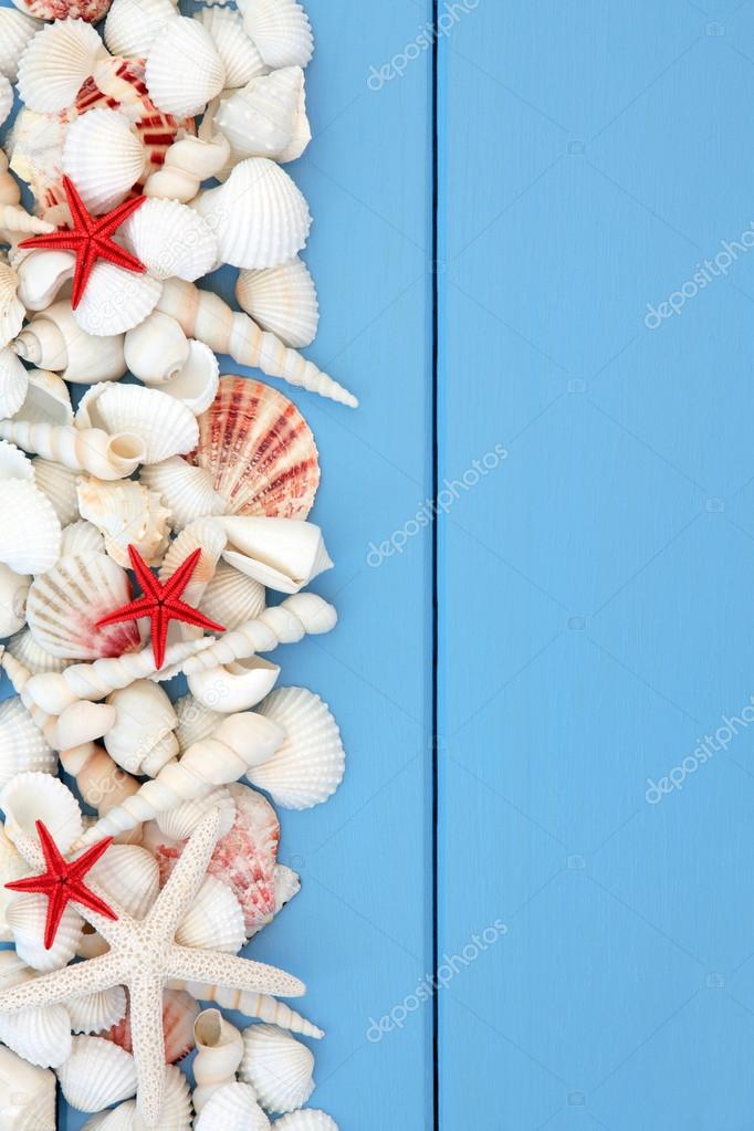 Beach Shell Beauty Stock Photo by ©marilyna 55700541