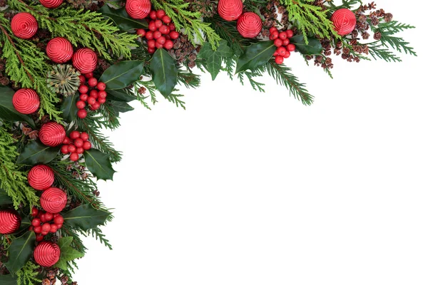 Christmas Greenery Border — Stock Photo © marilyna #30469315