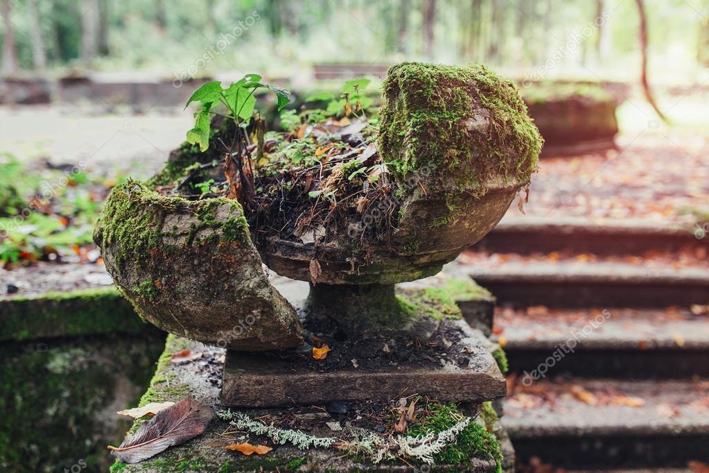 Abandoned and ruined stone Urn, vase in overgrown park Stock Photo by ...