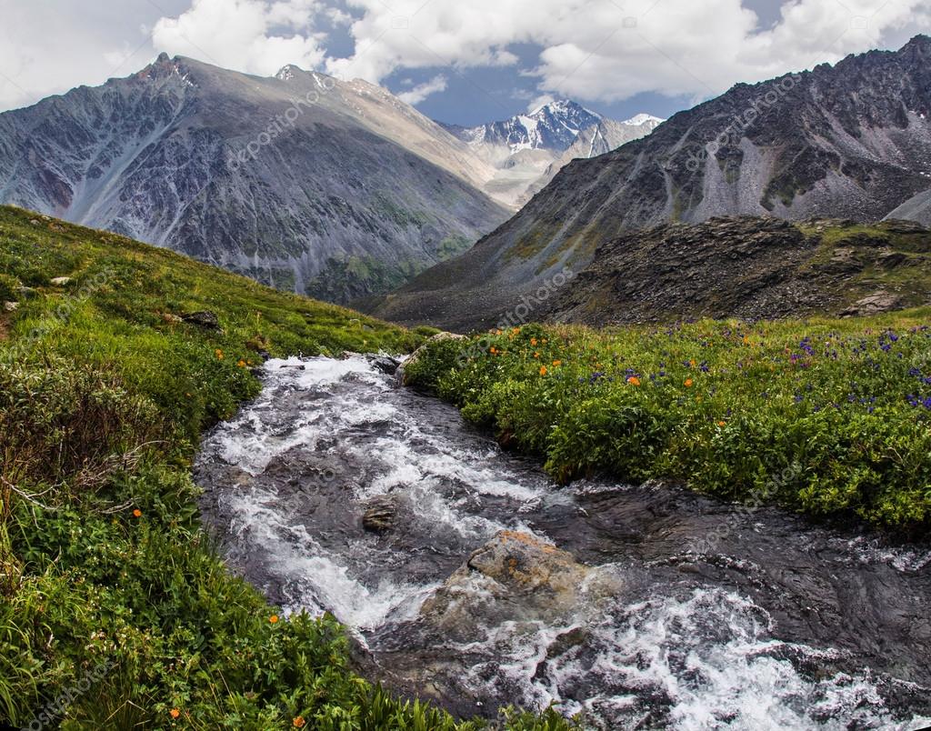A mountain stream flows through the meadow — Stock Photo © frantic00 ...