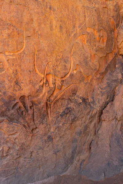 Vaca que llora fotos de stock, imágenes de Vaca que llora sin royalties ...