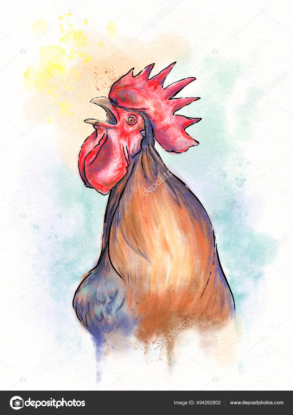 Rooster Crowing Drawing