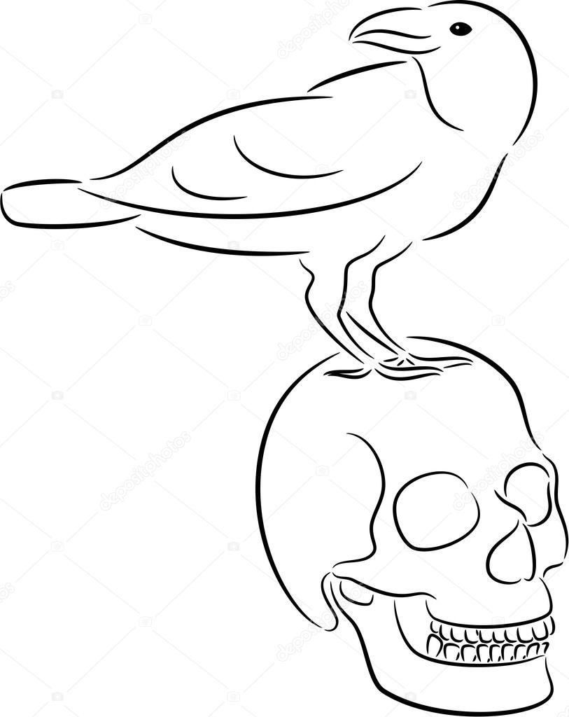 Skull and raven Stock Vector Image by ©Tallisman #57687715