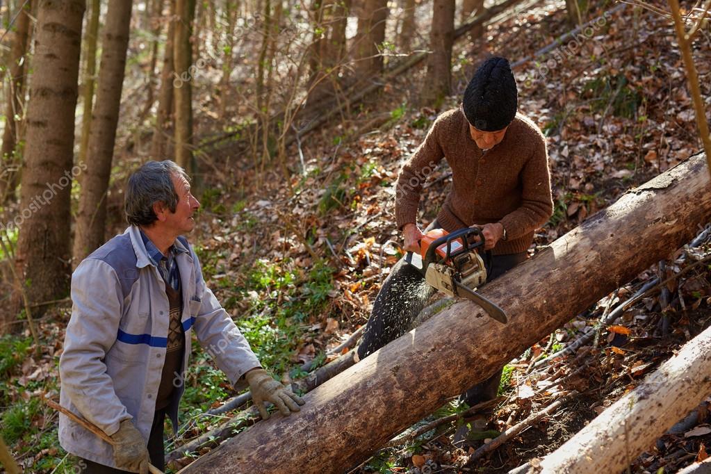 Woodcutter Cutting Trees