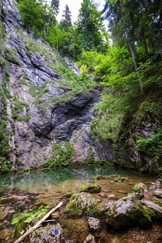 Izbucul Tauzului, karstic spring Stock Photo by ©Xalanx 79669258