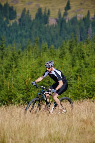 Cyclist riding on rugged trails — Stock Photo © Xalanx #81442474