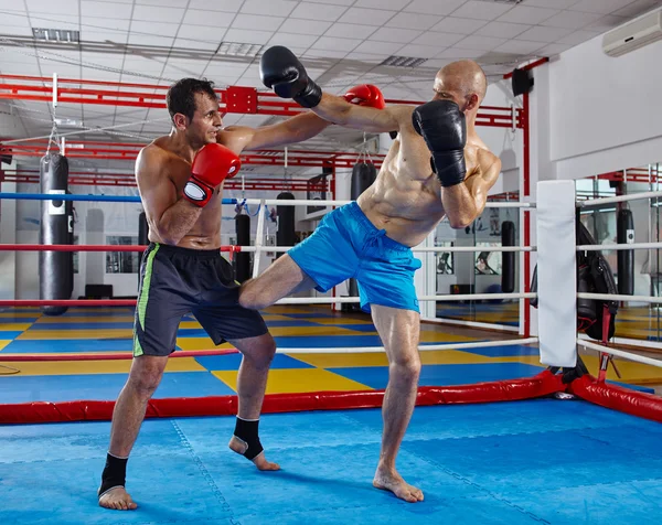 fighters in sparring match - Stock Image - Everypixel
