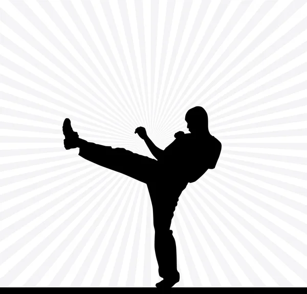 Flying Karate Kick Silhouette