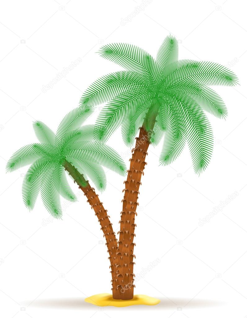 Palmera vector ilustración Vector de stock #107224252 de ©kontur-vid
