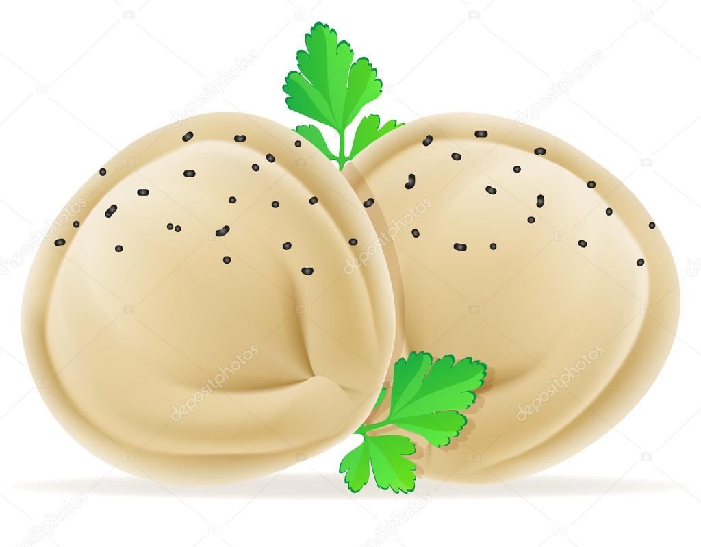 Dumplings pelmeni of dough with a filling and greens vector illu Stock ...