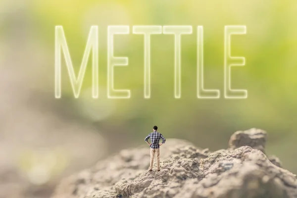 Mettle fotos de stock, imágenes de Mettle sin royalties | Depositphotos