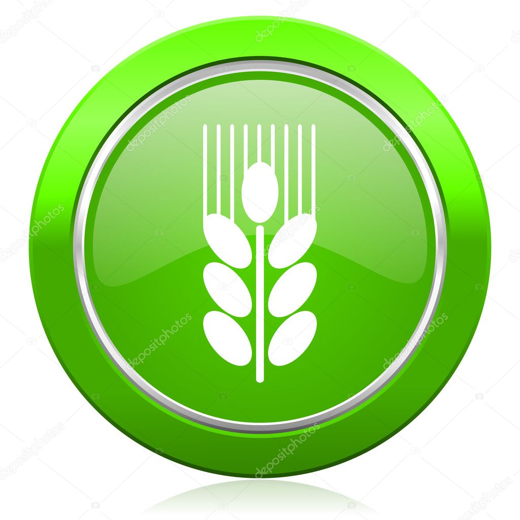 Grain icon agriculture sign — Stock Photo © alexwhite #63117663