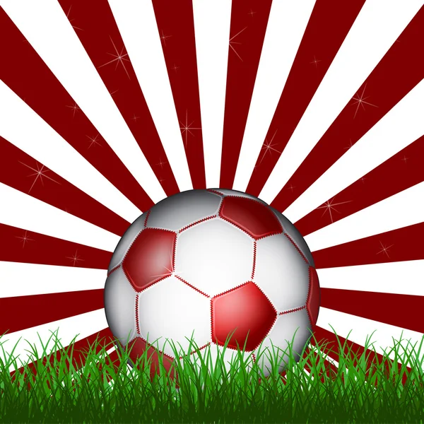 Argentine soccer ball Stock Vector by ©ngaga35 48339909