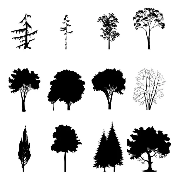 Trees silhouette 002 Stock Vector Image by ©yyanng #29441971