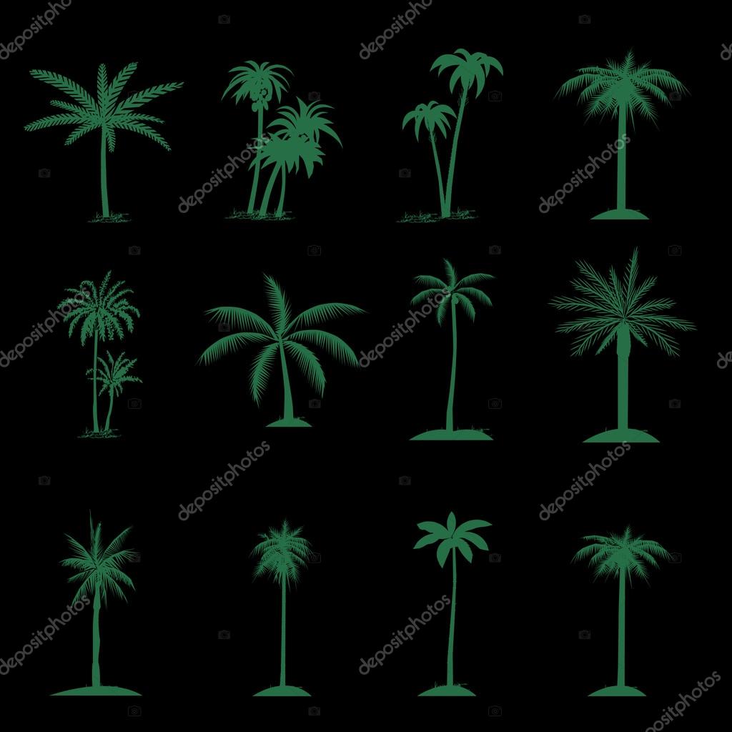 Ensemble de palmiers Vecteur par ©ngaga35 57771485