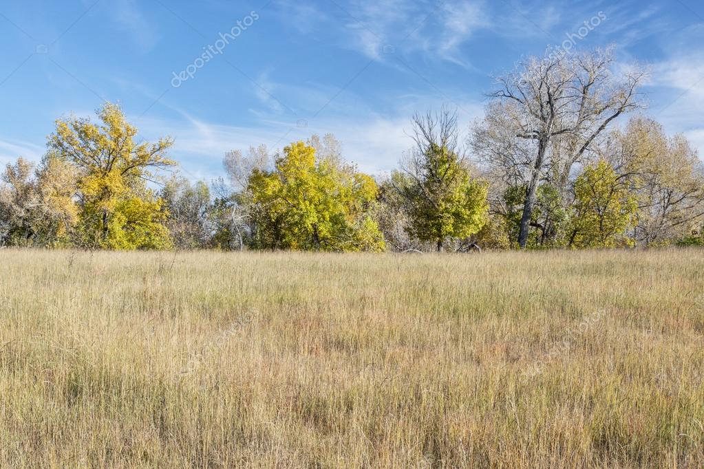 Prairie fall scenery Stock Photo by ©PixelsAway 56262051