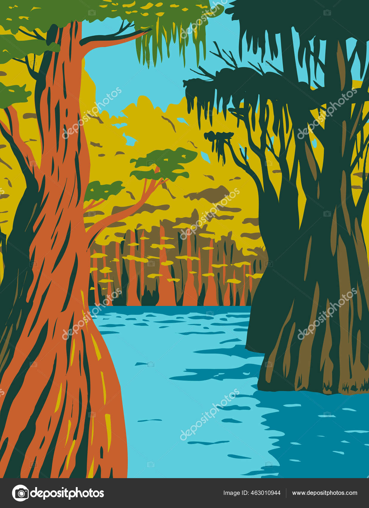 Swamp Cypress Tree Drawing
