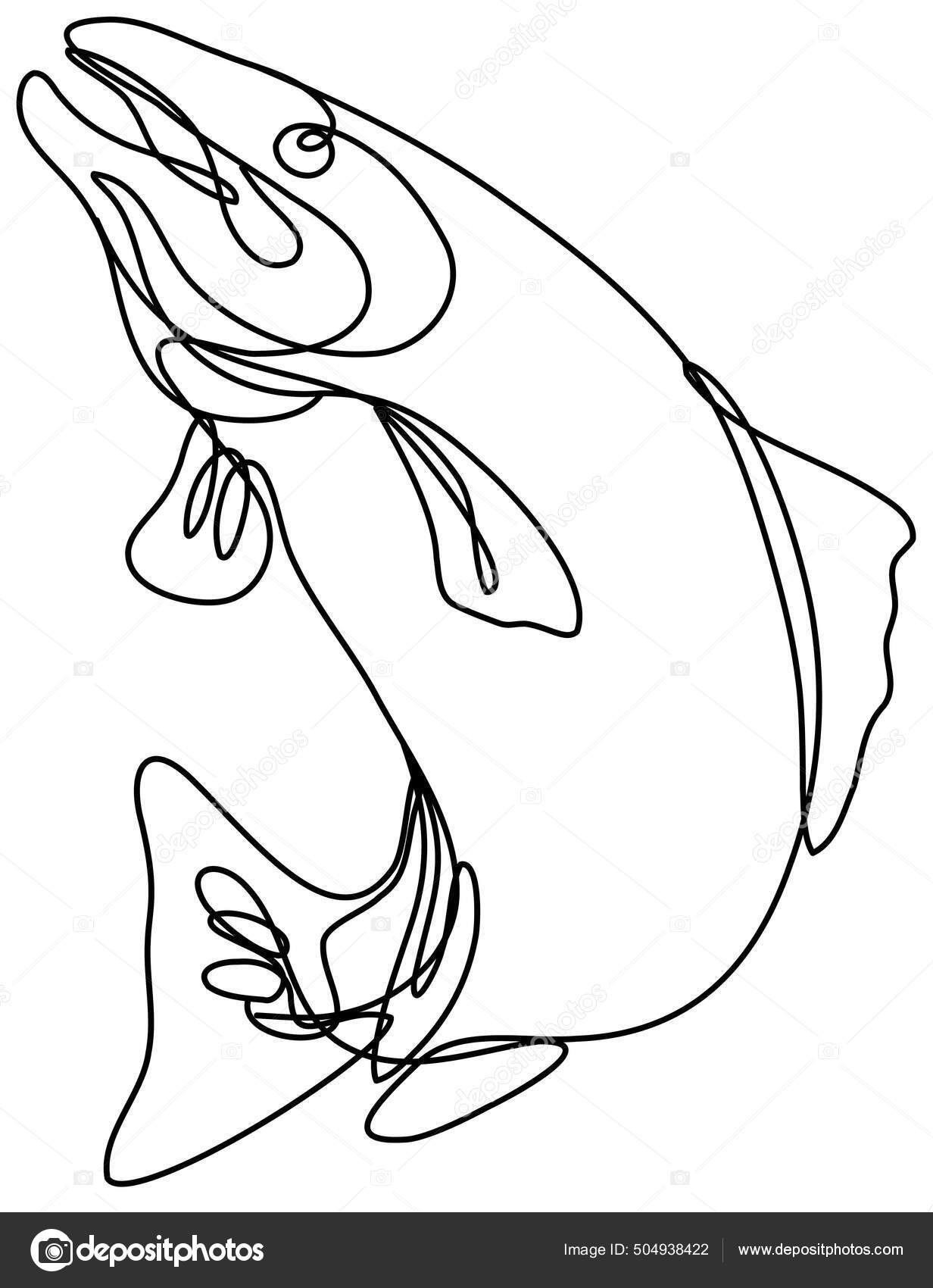 Continuous Line Drawing Illustration Lake Trout Jumping Done Mono Line ...