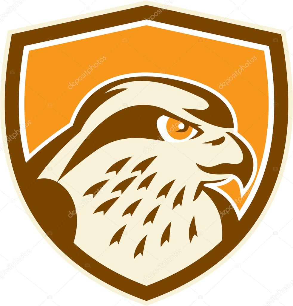 Peregrine Falcon Head Shield Retro Stock Vector Image by ©patrimonio ...