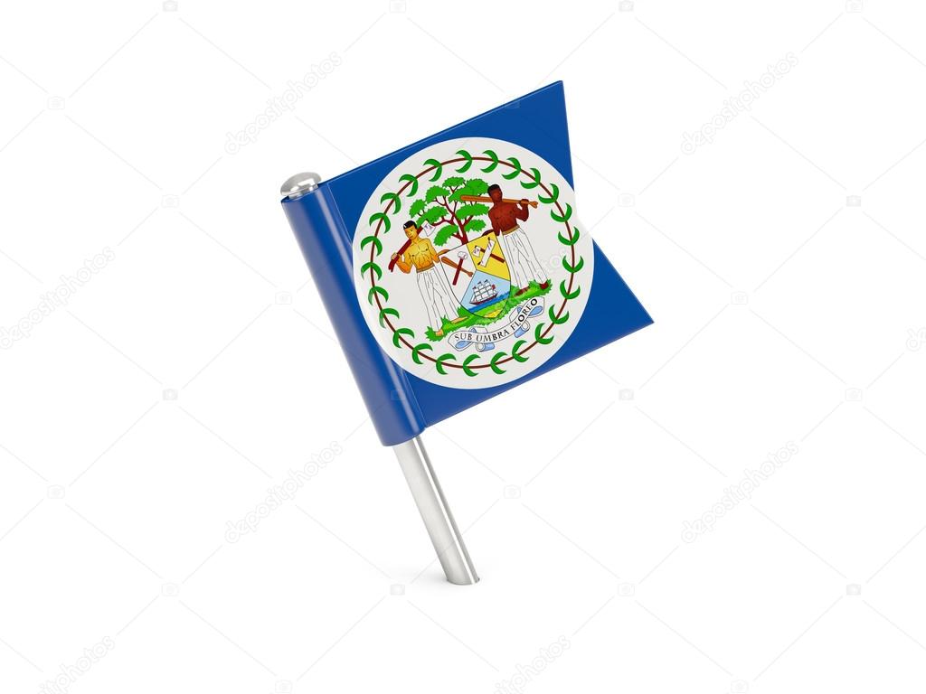 Flag pin of belize Stock Illustration by ©Mishchenko #69801985