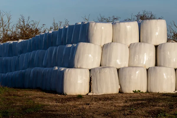 Plastic bales Stock Photos, Royalty Free Plastic bales Images ...