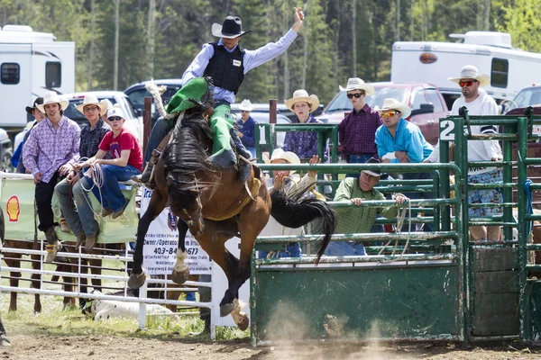 Rodeo Bronco Riders – Stock Editorial Photo © Imagecom #74965983